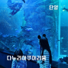 단양 다누리아쿠아리움 할인과 주차 아이랑 실내 가볼만한 곳 네이버 블로그